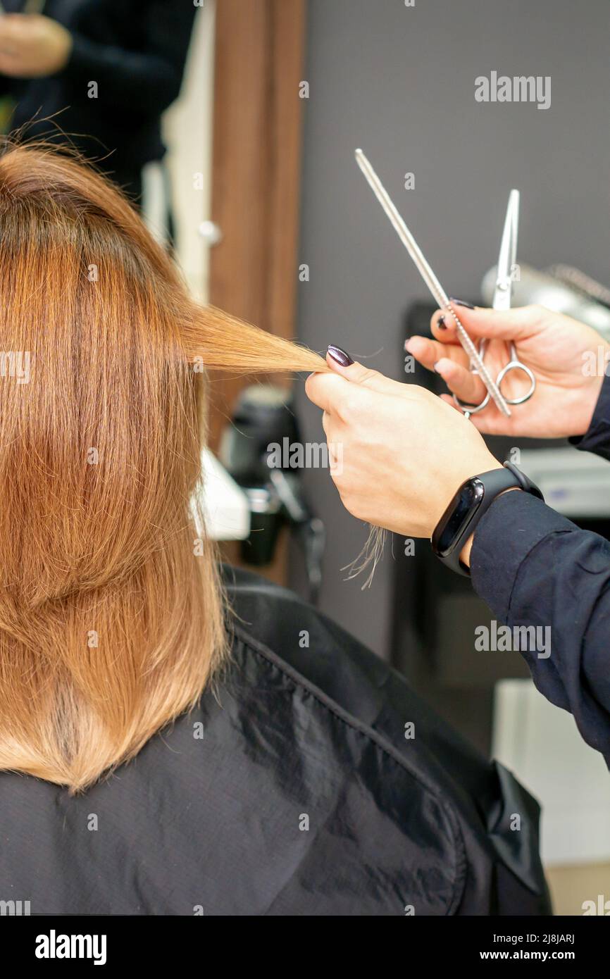 Red-haired woman sitting a front of the mirror and receiving haircut ...
