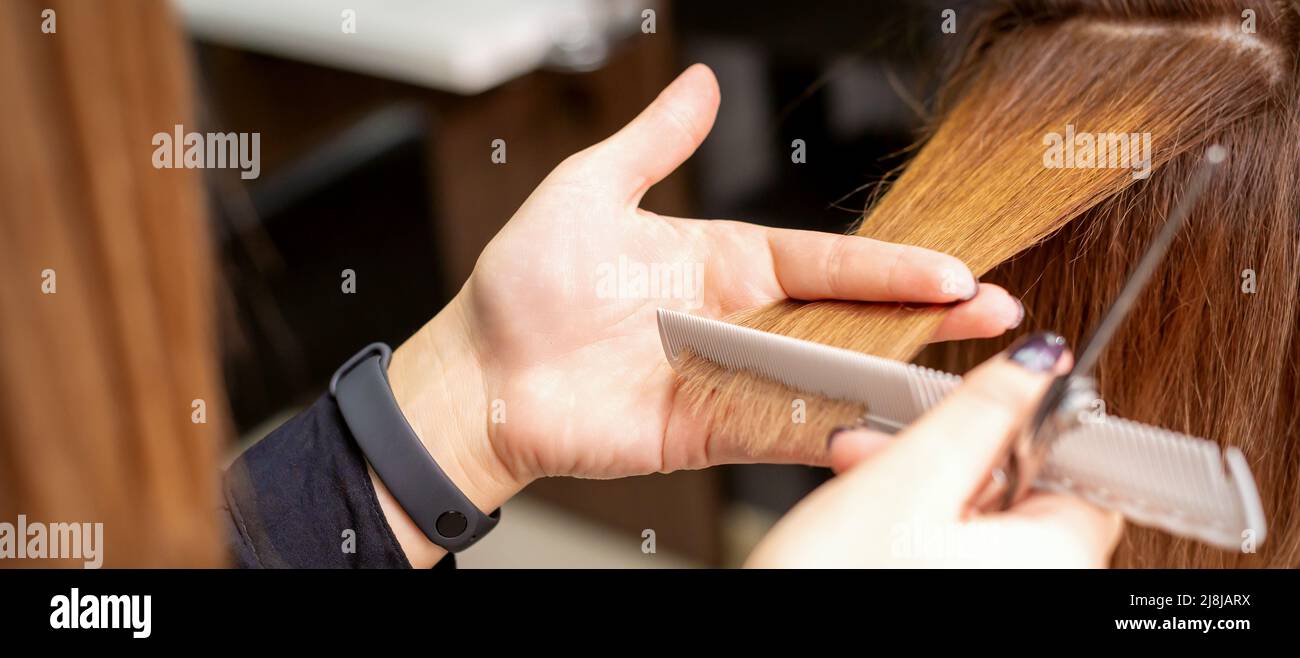 Hands of hairdresser hold hair strand between his fingers making ...