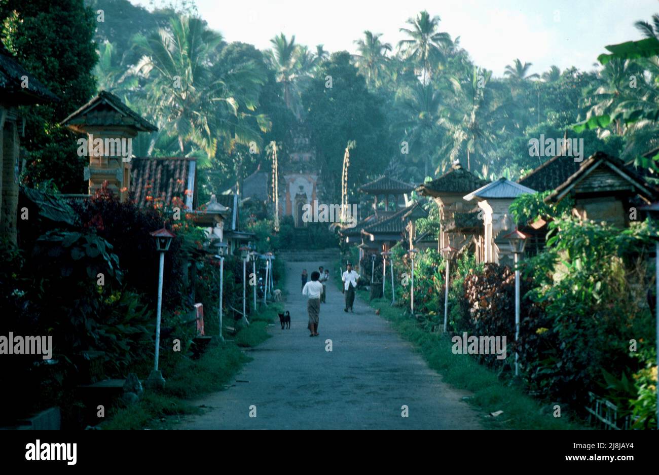 Street in late afternoon sun in Sebatu village in Bali, Indonesia 1984 ...