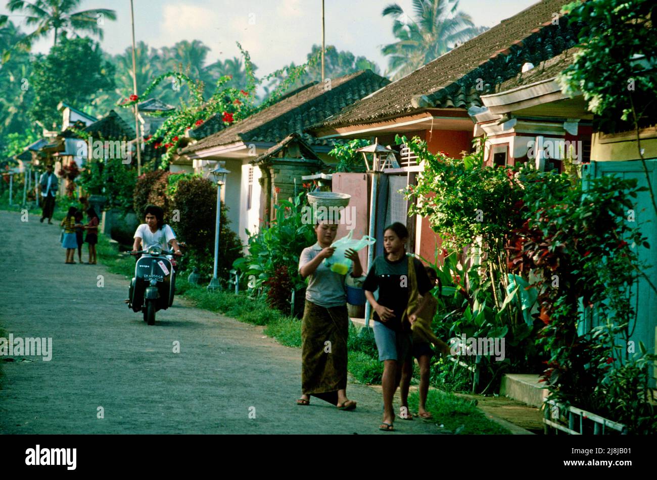 Road in Sebatu village in Bali, Indonesia 1984 Stock Photo - Alamy