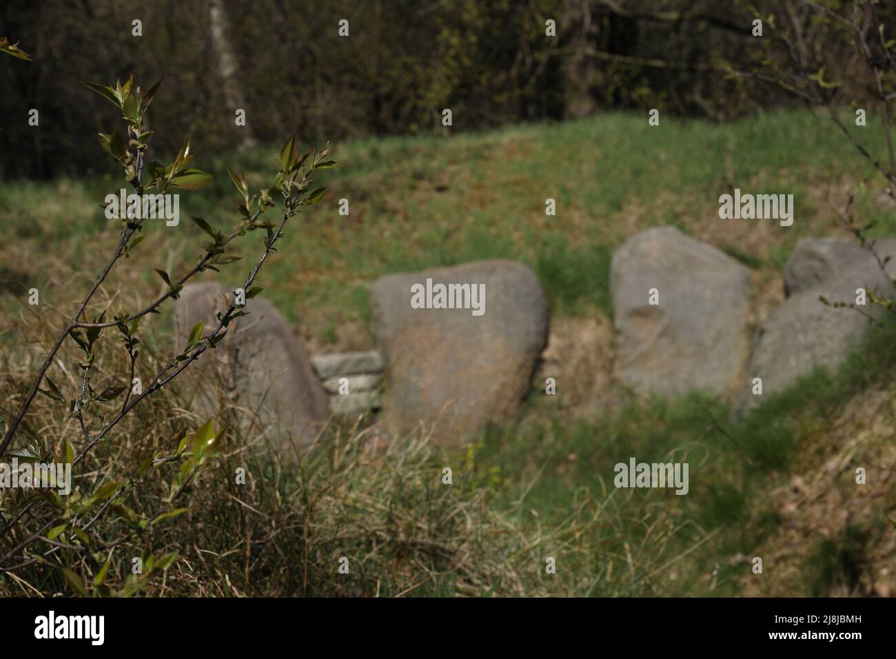 dolmen in the woodland Stock Photo - Alamy