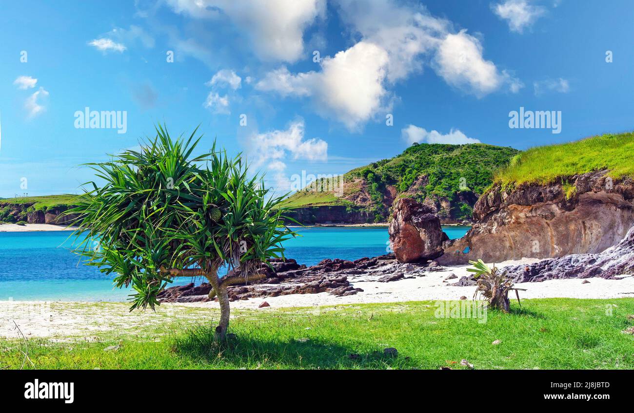 Beautiful tropical lonely secluded lagoon beach, grass meadow, tree ...