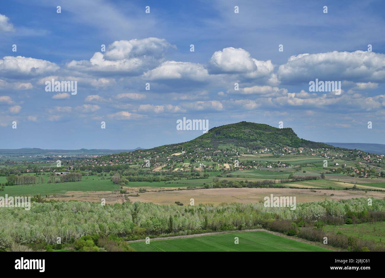 Badacsony is a volcanic hill in Hungray, north of lake Balaton and a ...