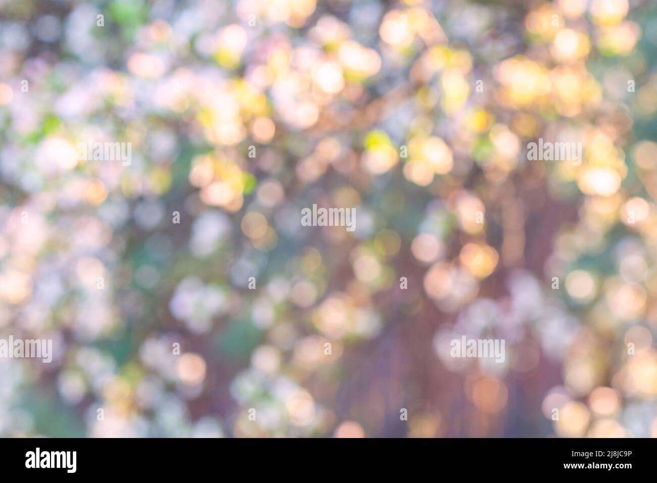 Gentle tone hi-res stock photography and images - Alamy