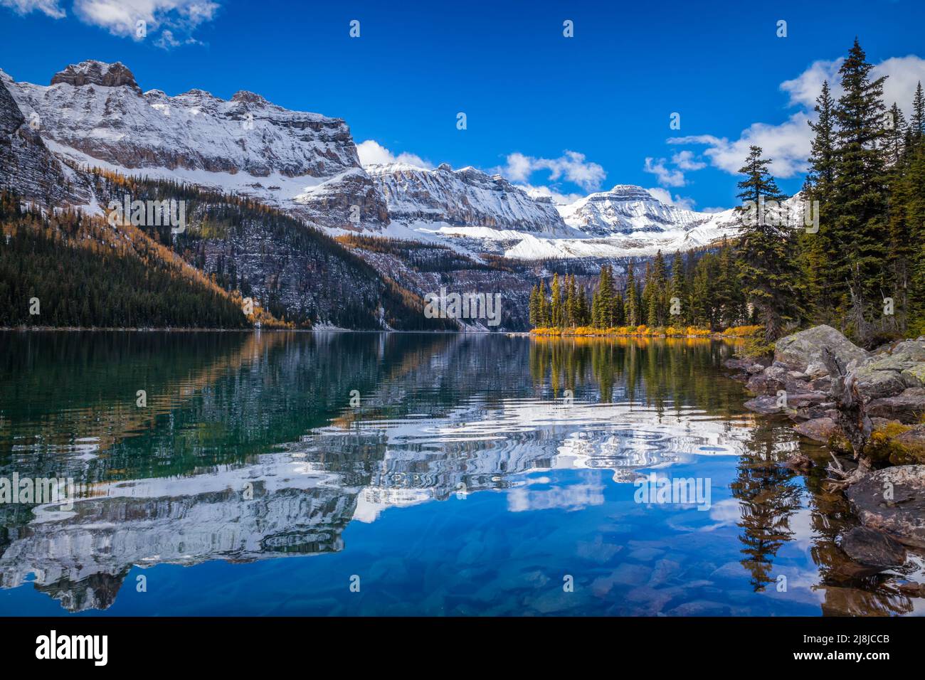 Autumn at Boom Lake in Banff National Park, Alberta, Canada Stock Photo ...