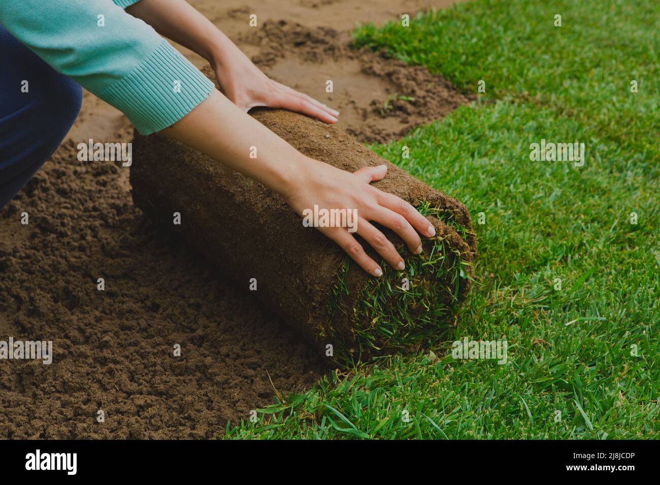 Gardener preparing land and applying turf rollers Stock Photo - Alamy