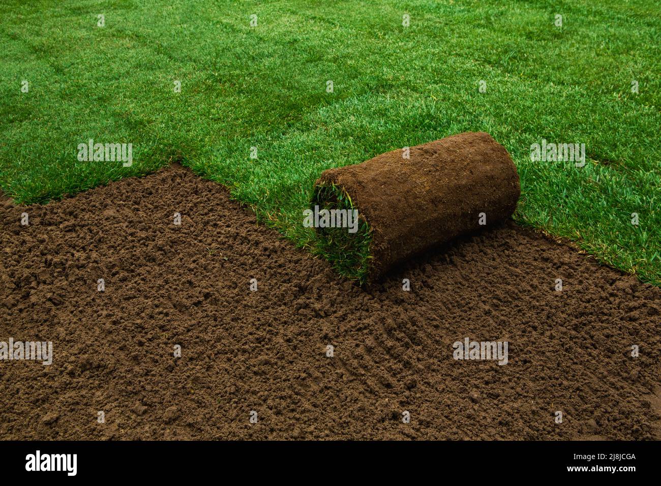 Turf growing land hi-res stock photography and images - Alamy