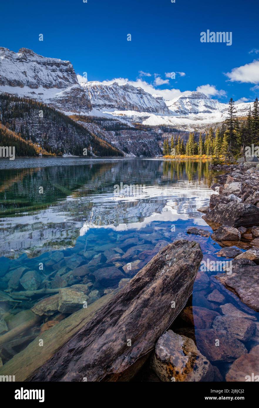 Autumn at Boom Lake in Banff National Park, Alberta, Canada Stock Photo ...