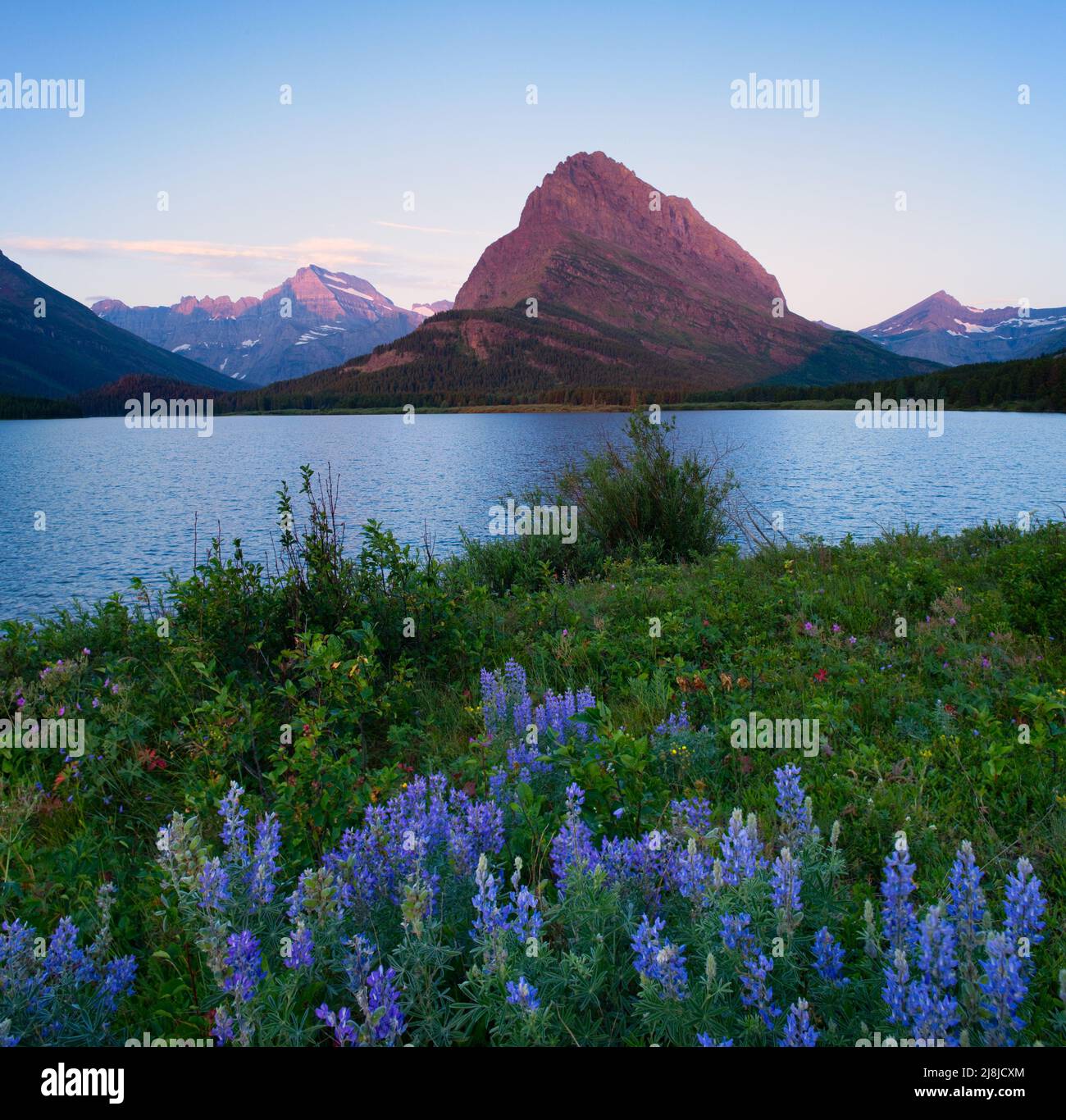 Sunrise Over Grinnell Point and Swiftcurrent Lake, Glacier National ...