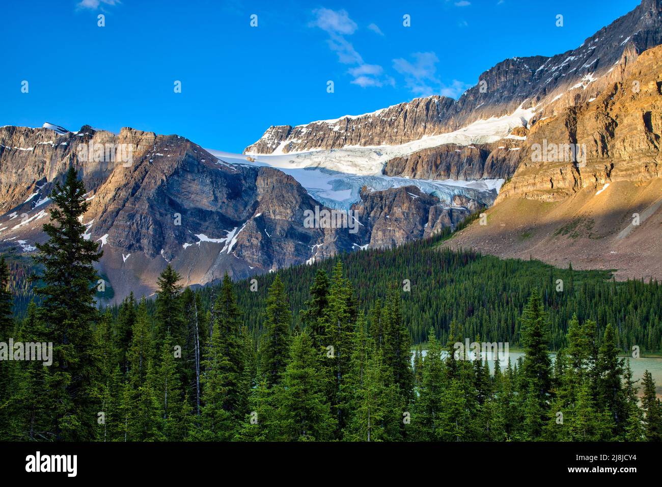 Mountain landscape with glacier lake and pine trees hi-res stock ...