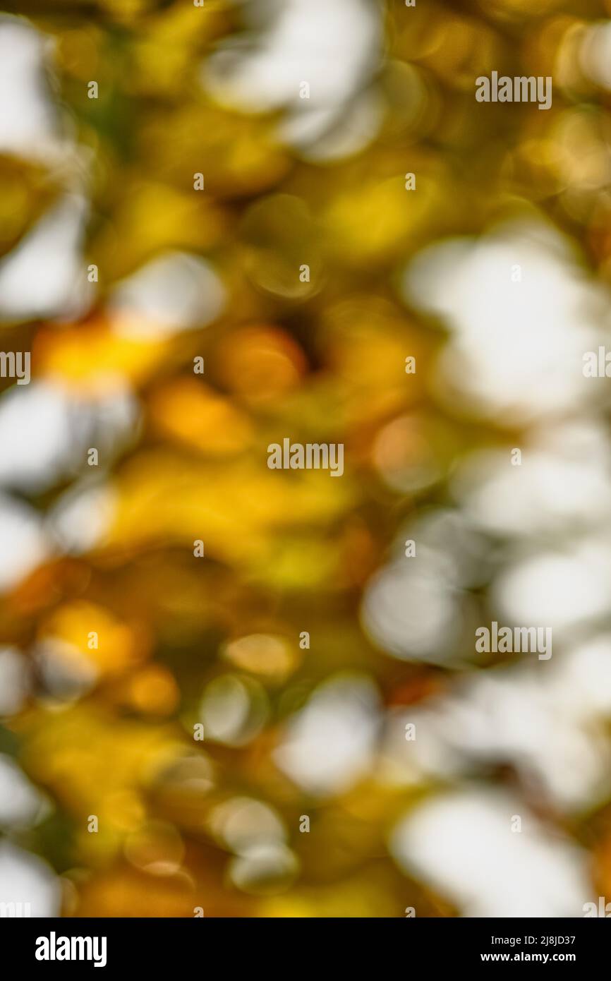 Unobtrusive colors hi-res stock photography and images - Alamy