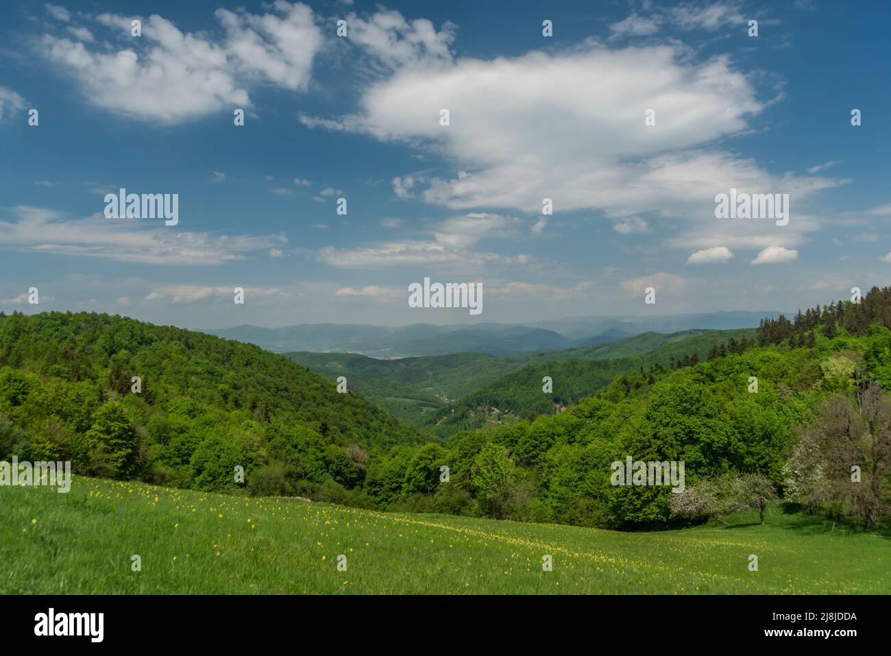 Landscape near Banska Stiavnica town in sping fresh color beautiful ...