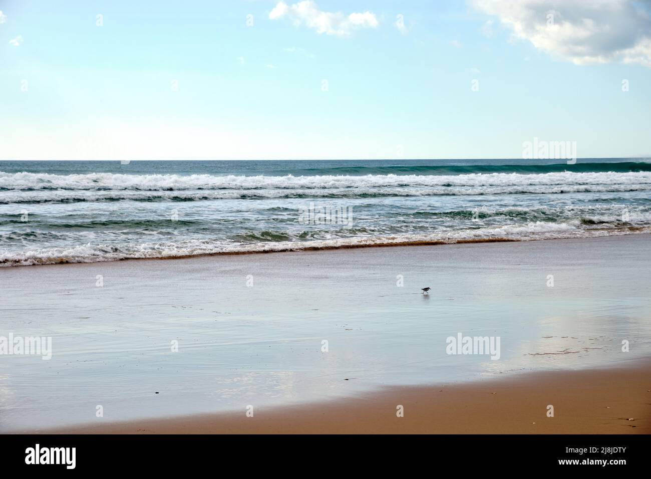 Landscape of a very long sandy beach with a blue sky full of clouds ...