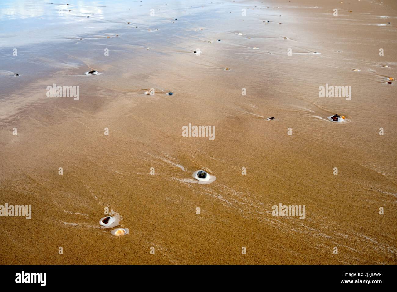 Stones stuck in the sand on a beach while the tide passes over it Stock ...