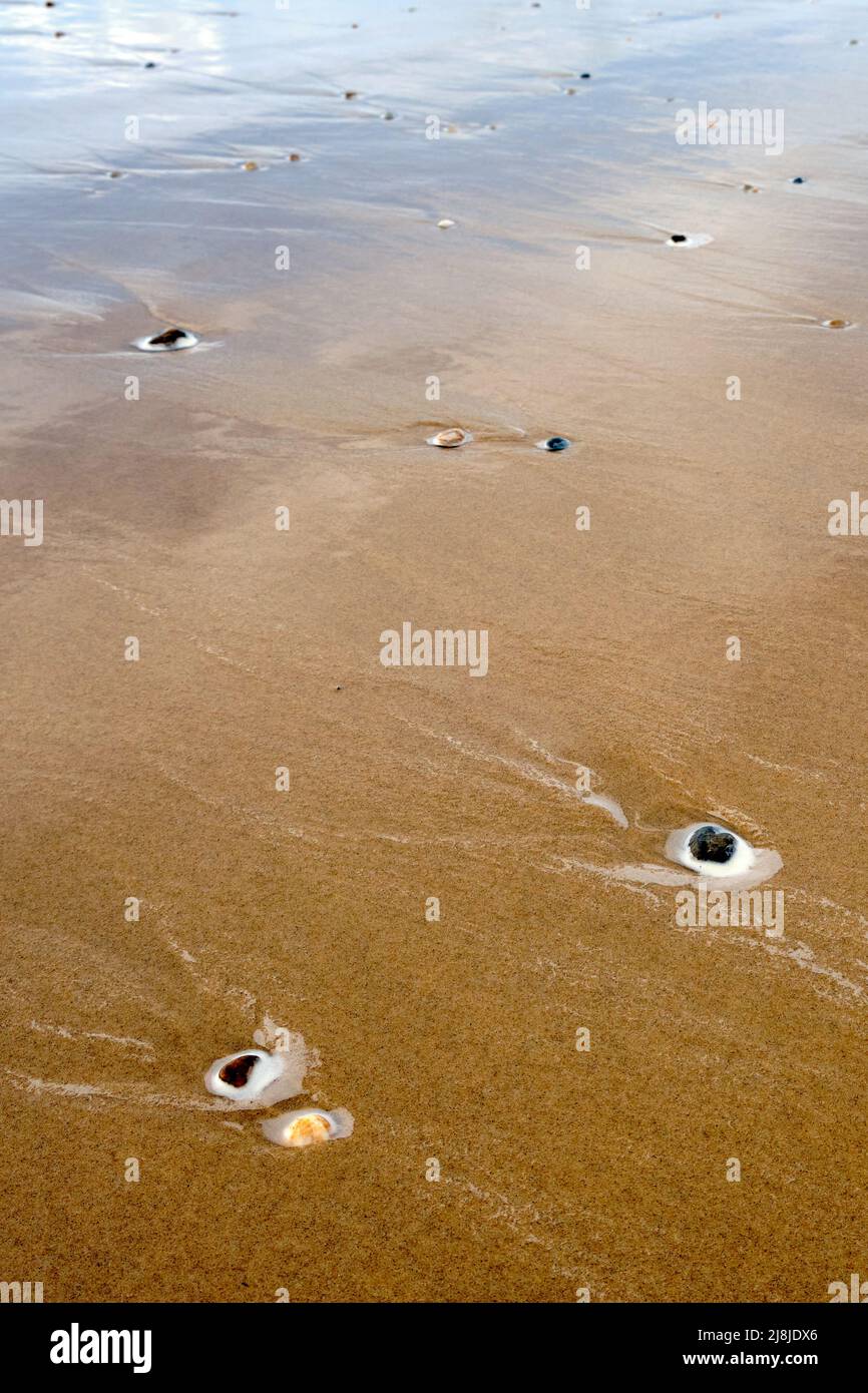 Stones stuck in the sand on a beach while the tide passes over it Stock ...