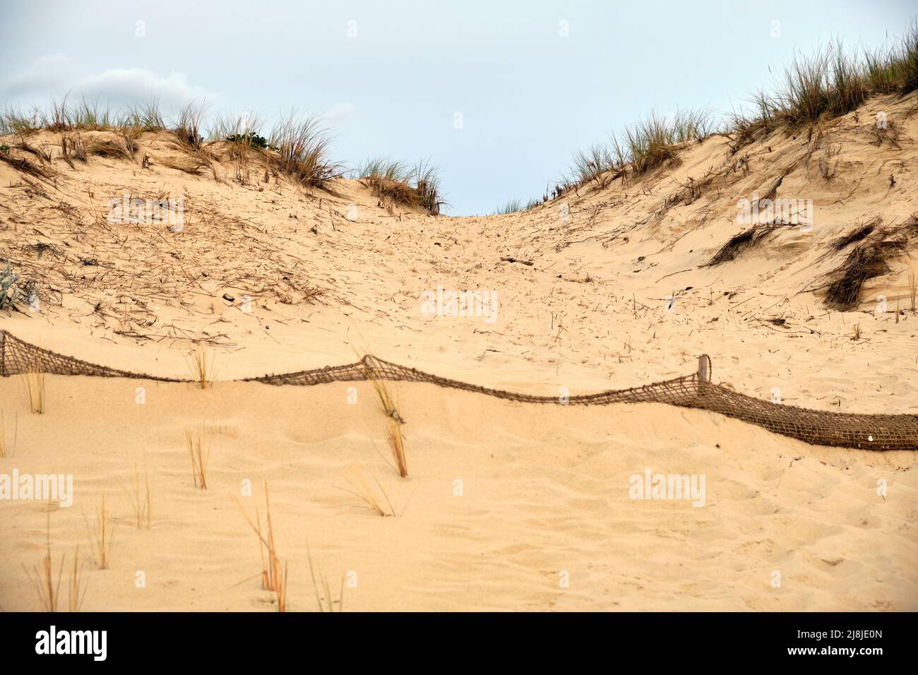 Wild beach dune Stock Photo - Alamy