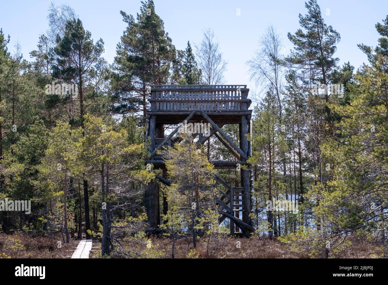 viewing platform at the edge of the lake bog. bird watching Stock Photo ...