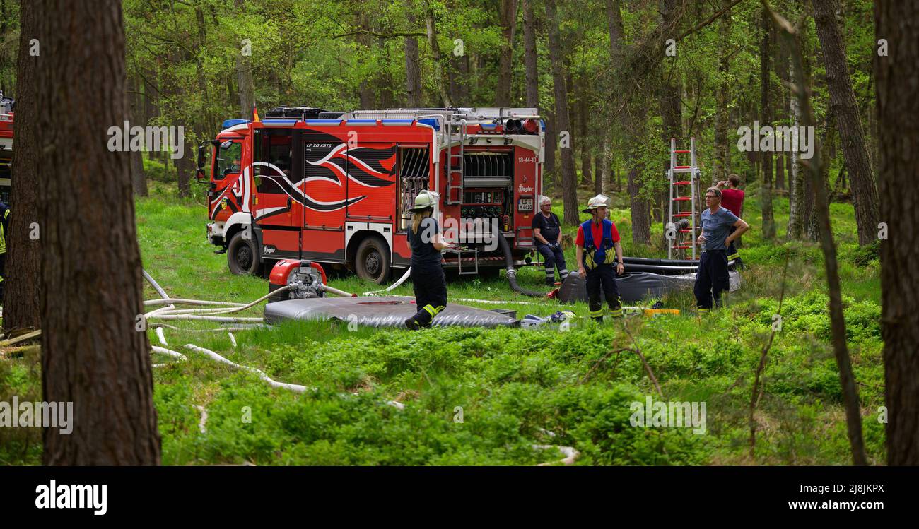 Deutsch Evern, Germany. 16th May, 2022. Firefighters work on a forest ...