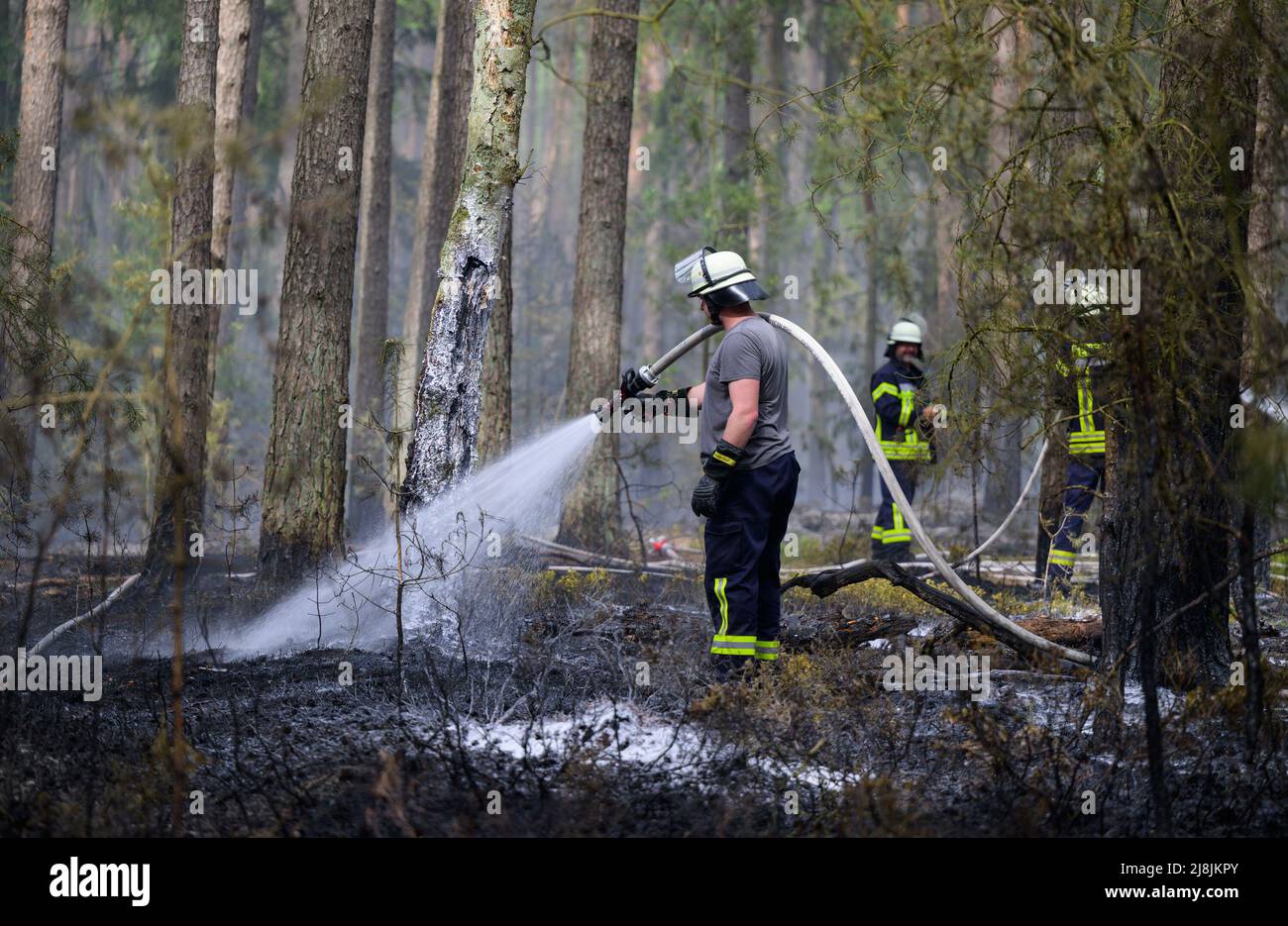 Deutsch Evern, Germany. 16th May, 2022. Firefighters extinguish embers ...