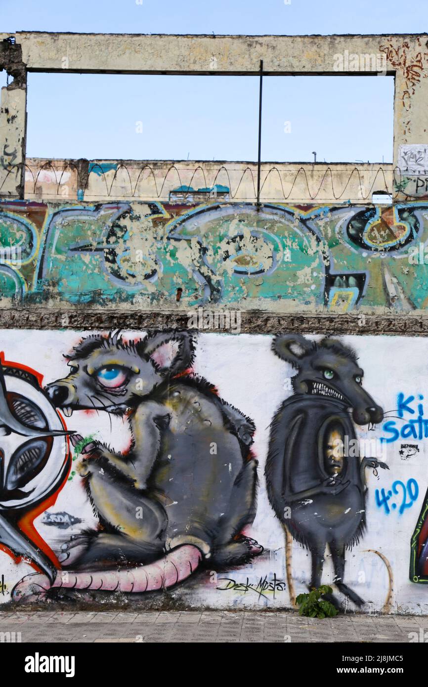 Costa Rica street art - Graffiti artwork, showing rats. Desk Musto ...