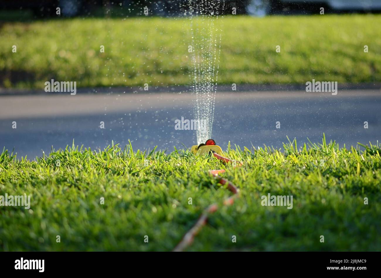 Water drops lawn sprinkler hi-res stock photography and images - Alamy