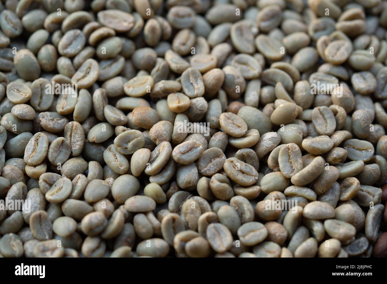 A pile of natural raw and brown raw coffee beans Stock Photo - Alamy