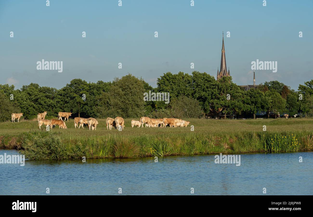 Markdal hi-res stock photography and images - Alamy