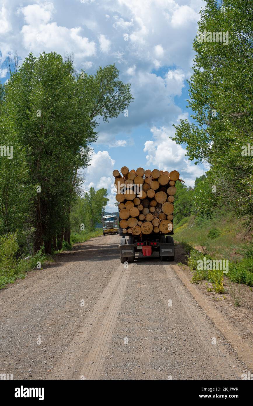 Logging truck on road hi-res stock photography and images - Alamy