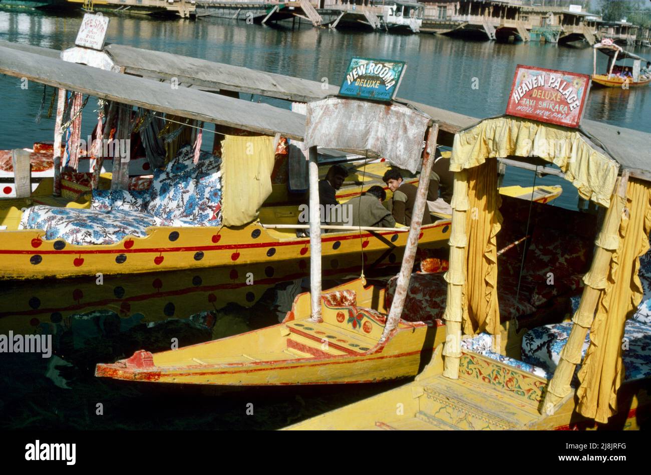 Shikara boats on Dal Lake in Kashmir 1986 Stock Photo - Alamy