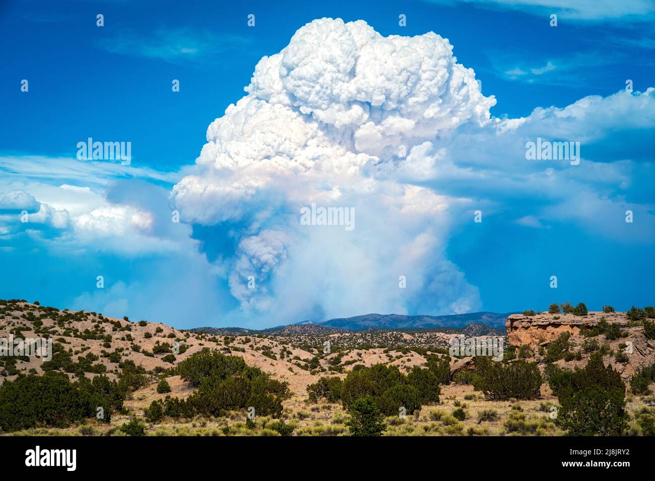 Pyrocumulus forest fire cloud Stock Photo - Alamy