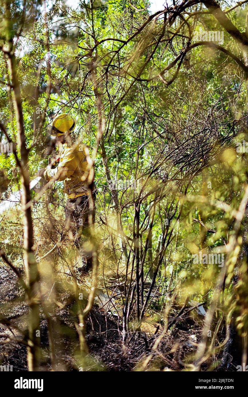 SANT Quinti de Mediona, Catalonia, Spain. 16th May, 2022. small fire ...