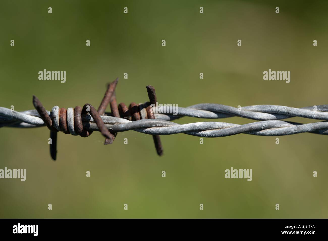 Broken barbed wire hi-res stock photography and images - Alamy