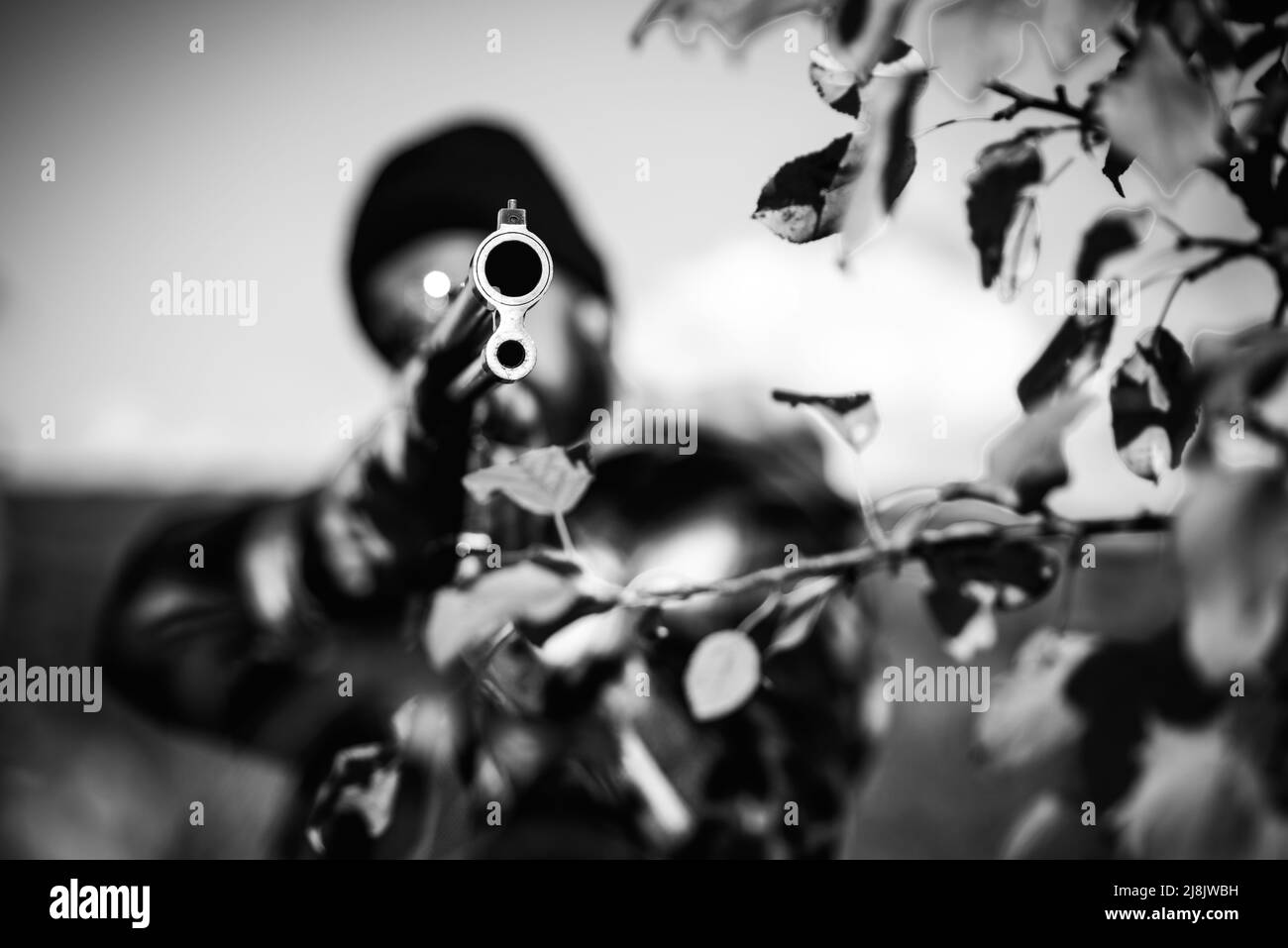 Barrel of a gun. Hunter aiming rifle in forest. Hunter with shotgun gun ...