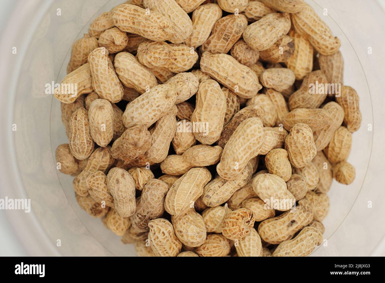 Dried peanut - Dried peanut in shell on white background. Peanut pod or ...