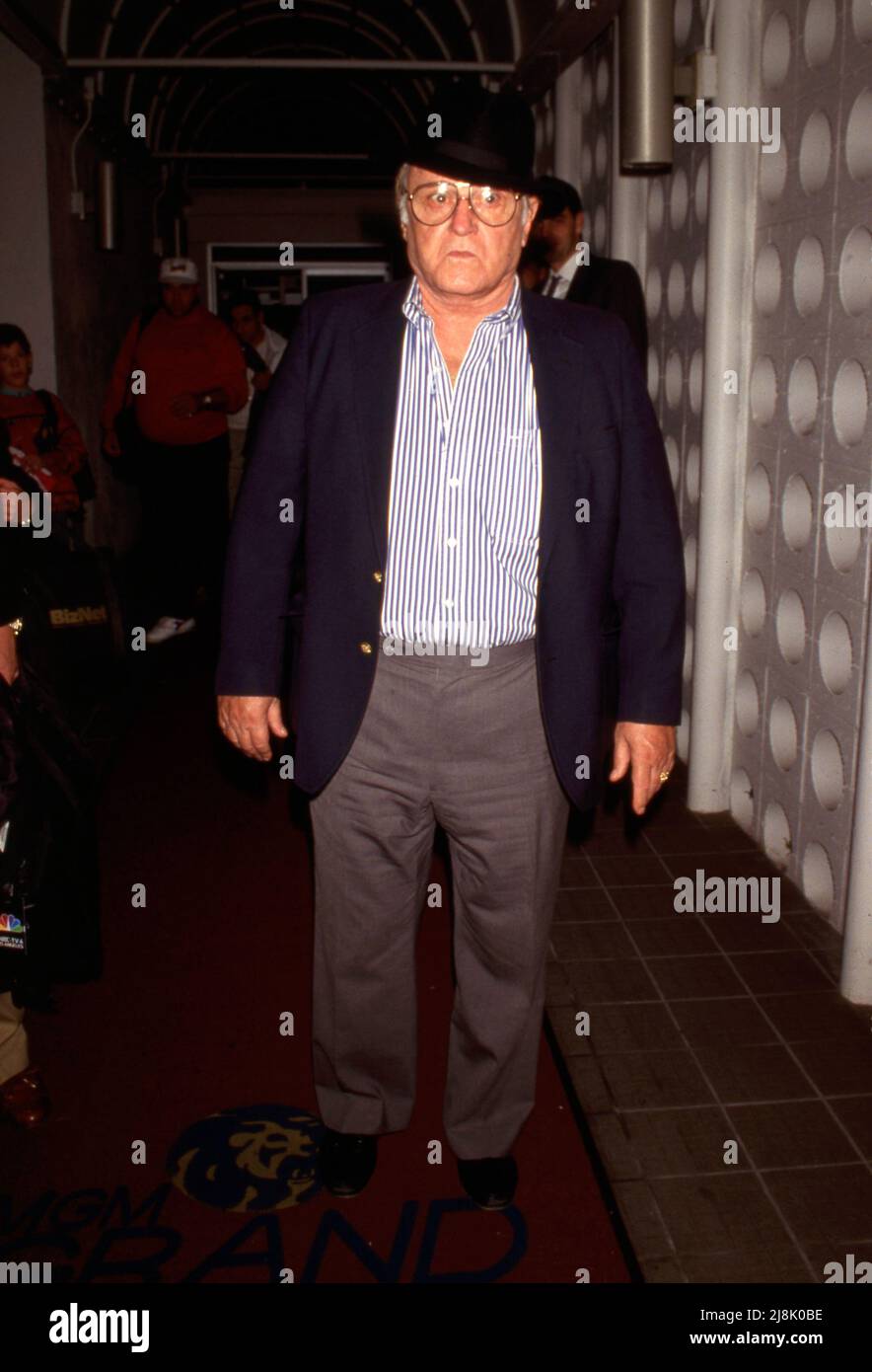 Rod Steiger 1993 . Credit: Ralph Dominguez/MediaPunch Stock Photo - Alamy