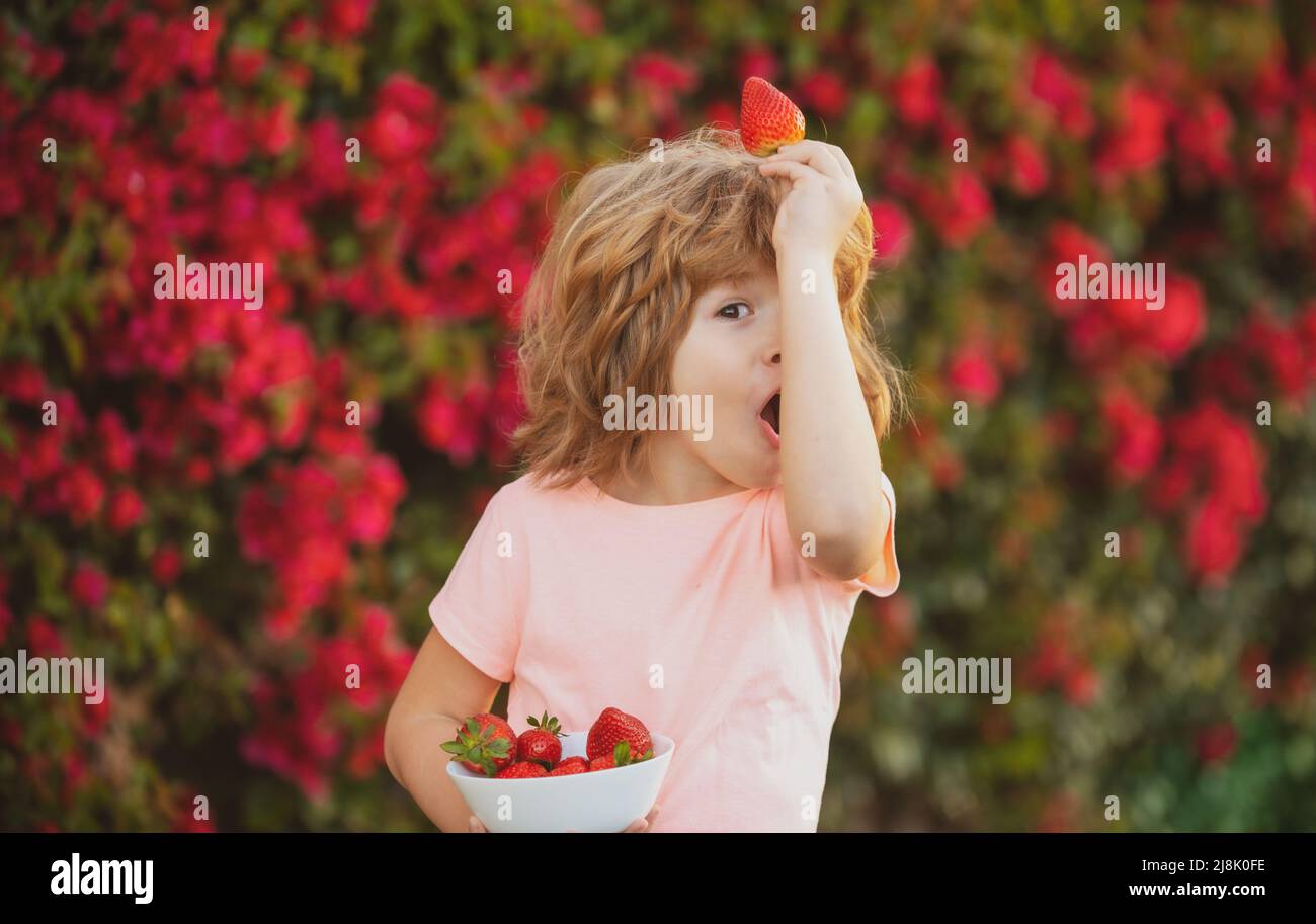 Happy child boy eat strawberry. Lovely funny child eating strawberries ...