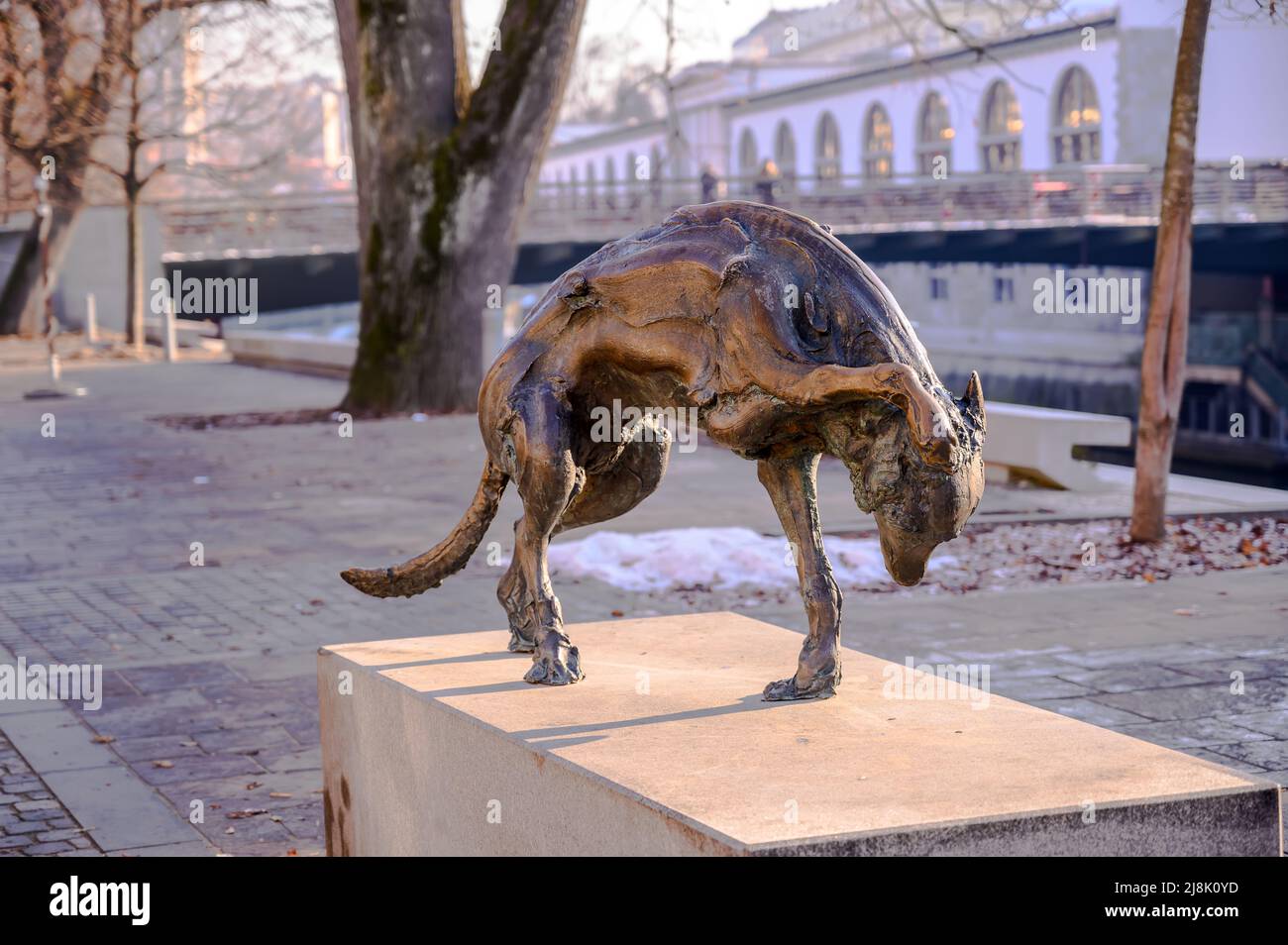 LJUBLJANA, SLOVENIA - FEBRUARY 15, 2022: Modern statue of dog by Jakov ...