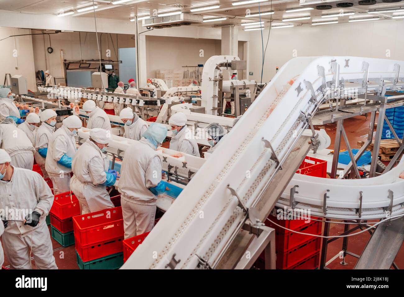 Meat processing plant.Industrial equipment at a meat factory.Modern ...