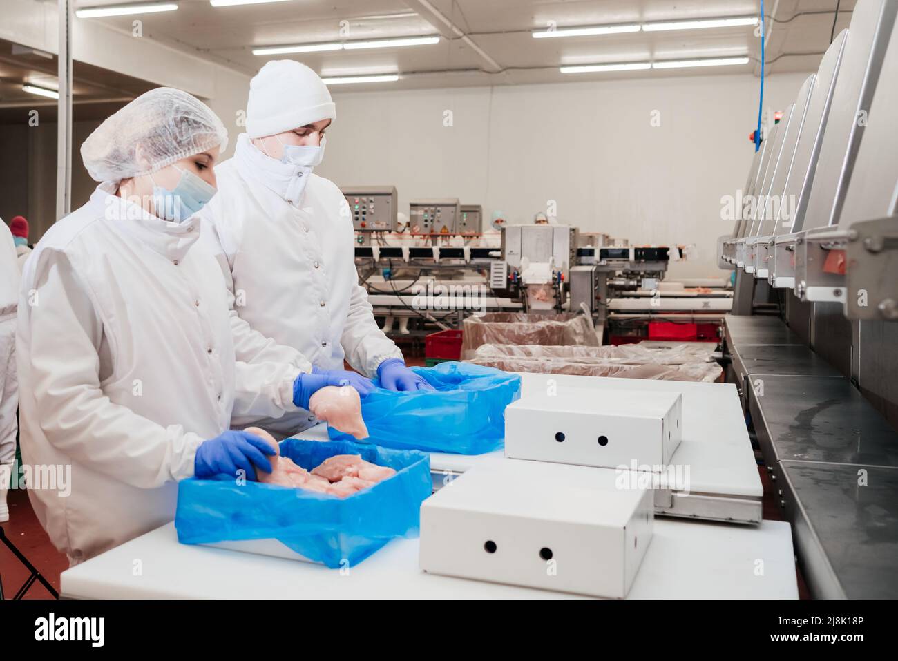 Chicken fillet production line . Factory for the production of food ...