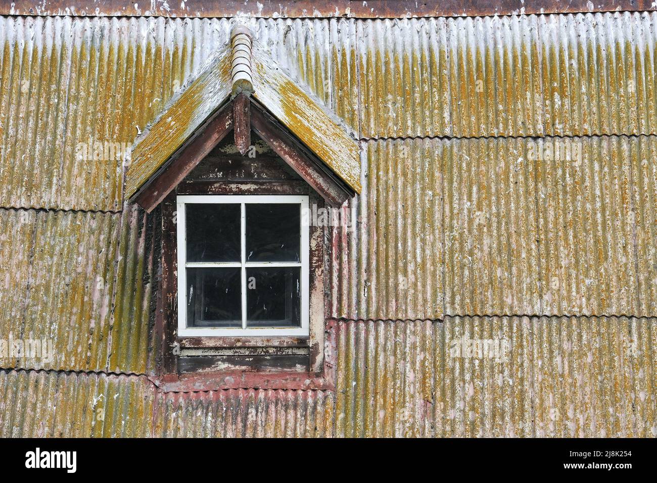 Rooflight on an old house, roof covered with lichens, USA, California ...