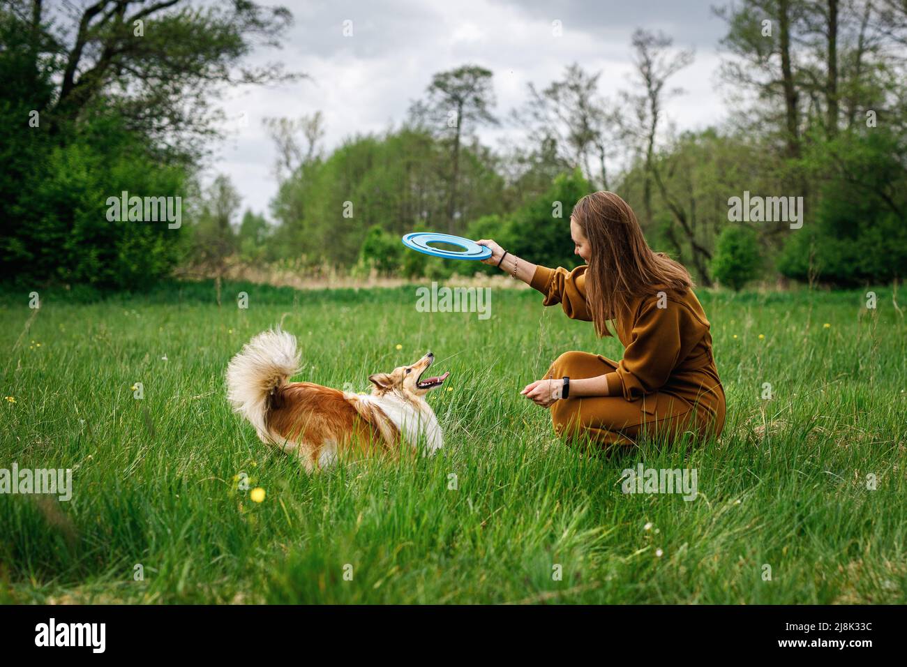 Interaction between dog and owner. Girl playing with her pet outdoors ...