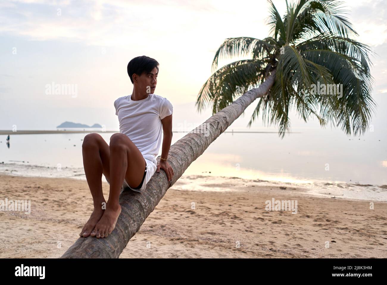 Asian man sitting on the trunk of a palm tree of a tropical beach ...
