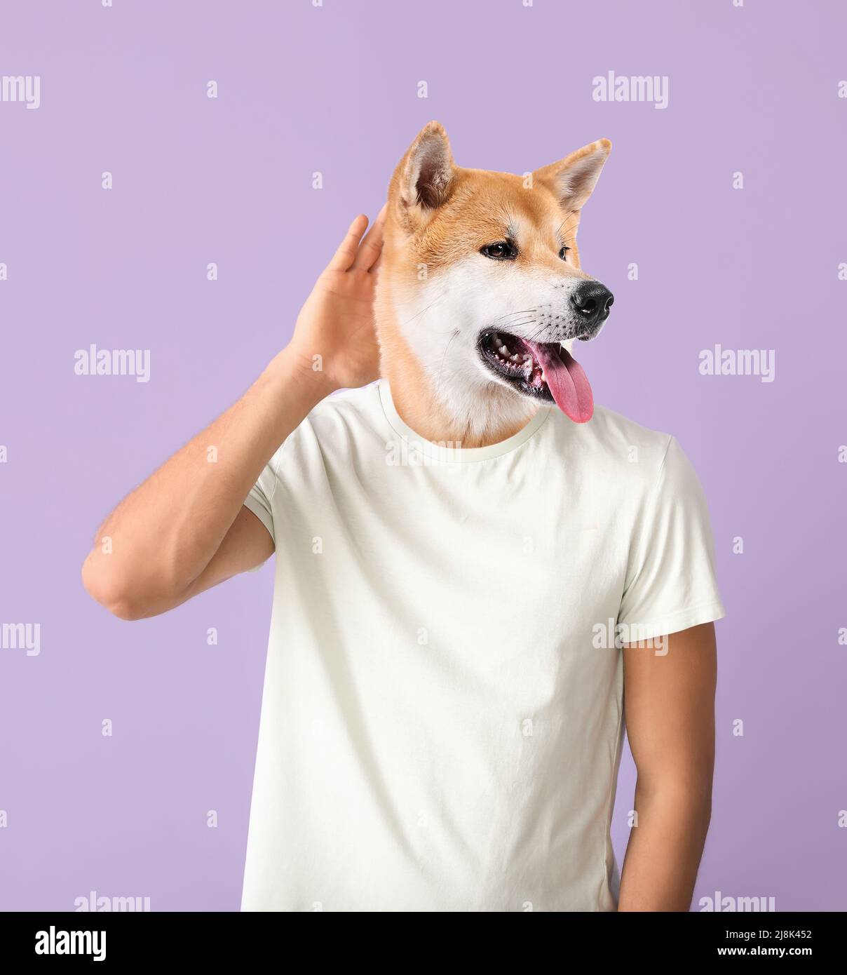 Funny dog with human body trying to hear something on lilac background ...