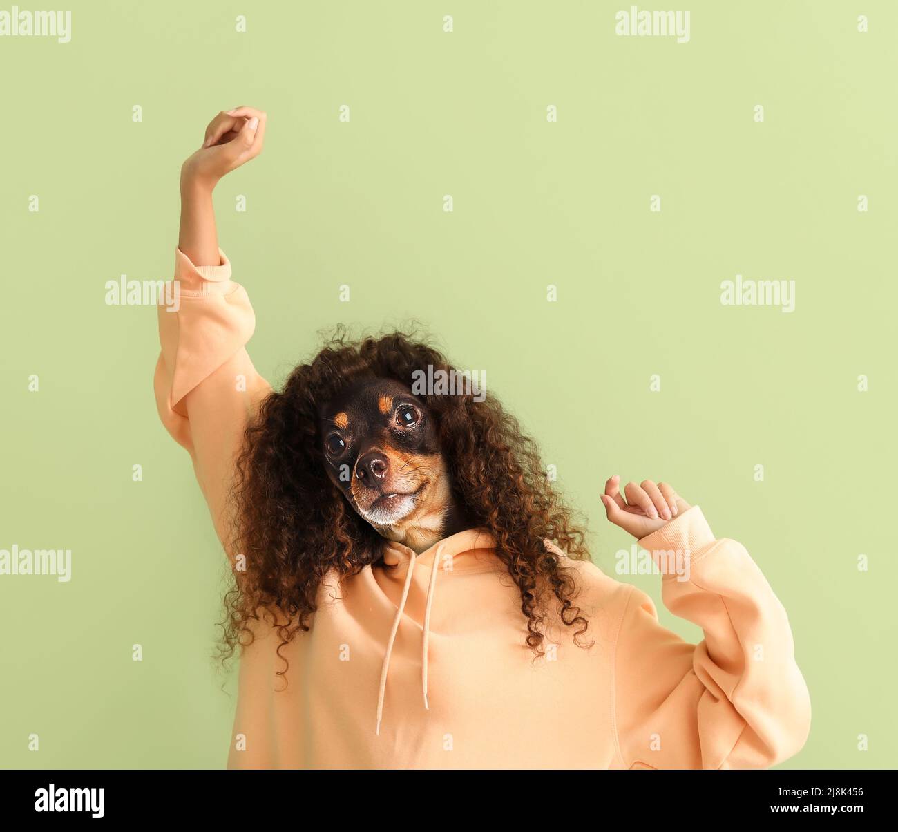 Funny dancing dog with human body on green background Stock Photo - Alamy