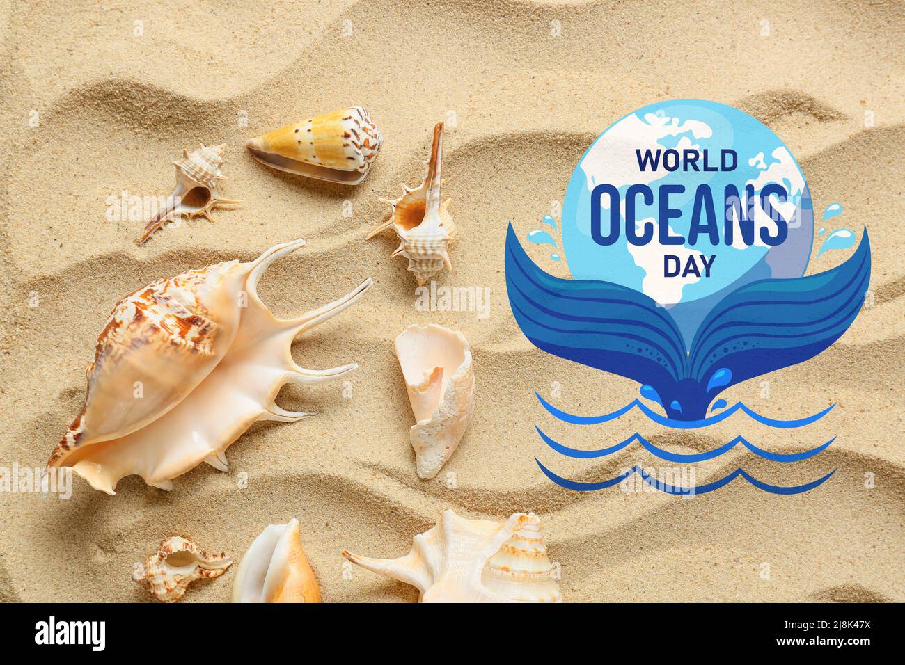 Card for World Ocean Day with different sea shells on beach sand Stock ...