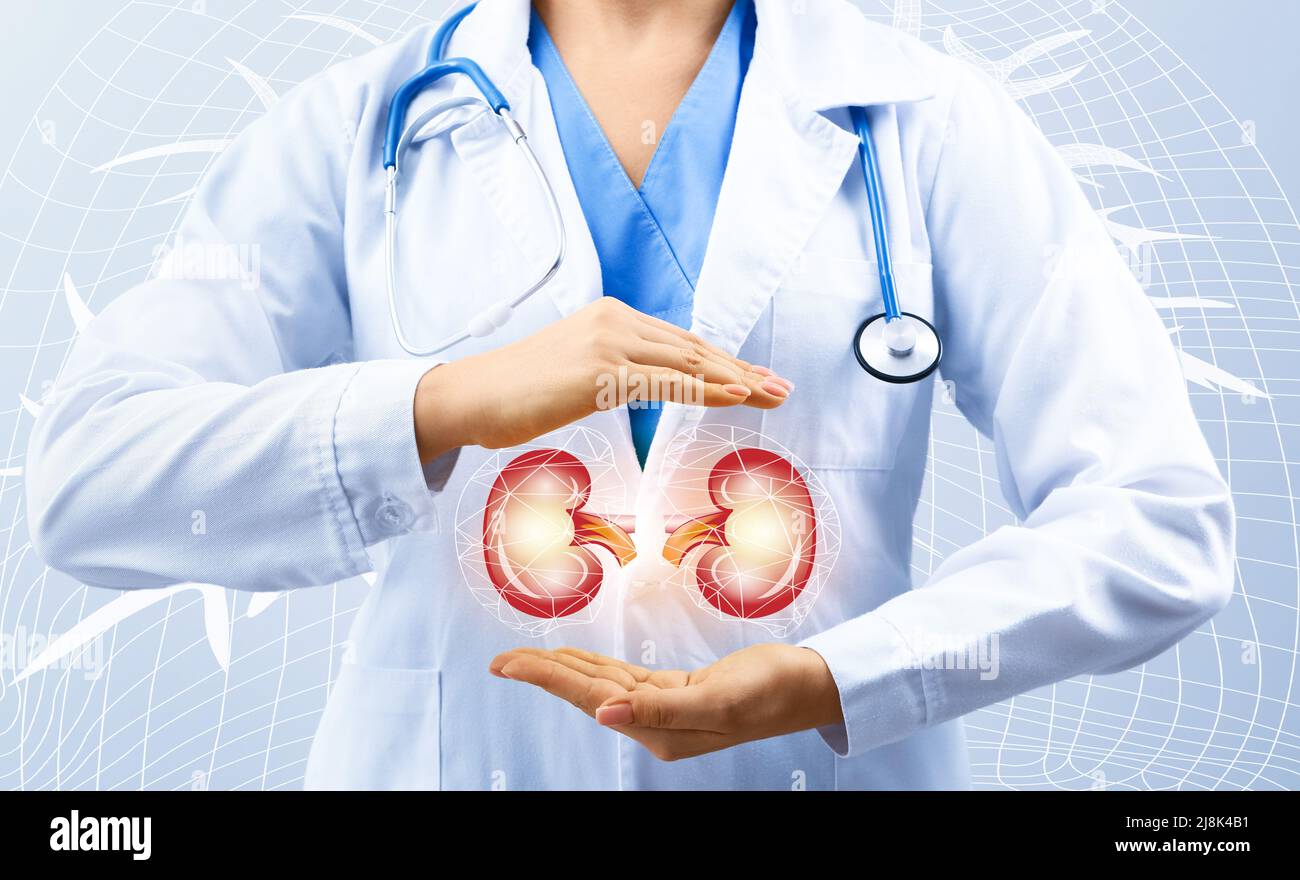 Female doctor and kidneys on virtual screen against light background ...