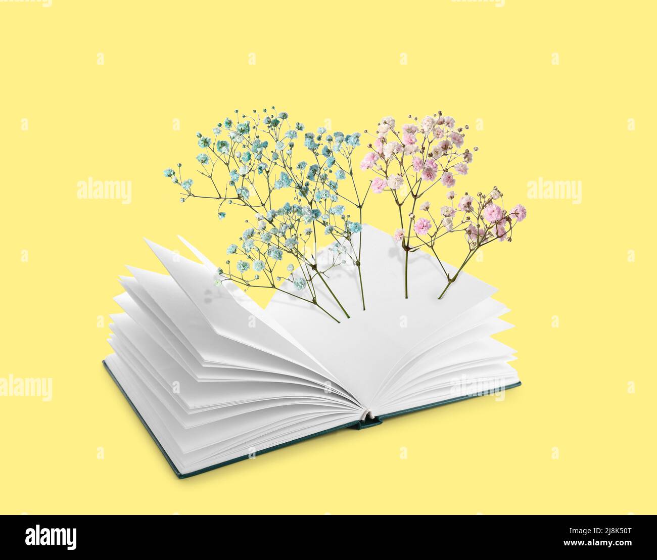 Open book with beautiful flowers on yellow background Stock Photo - Alamy