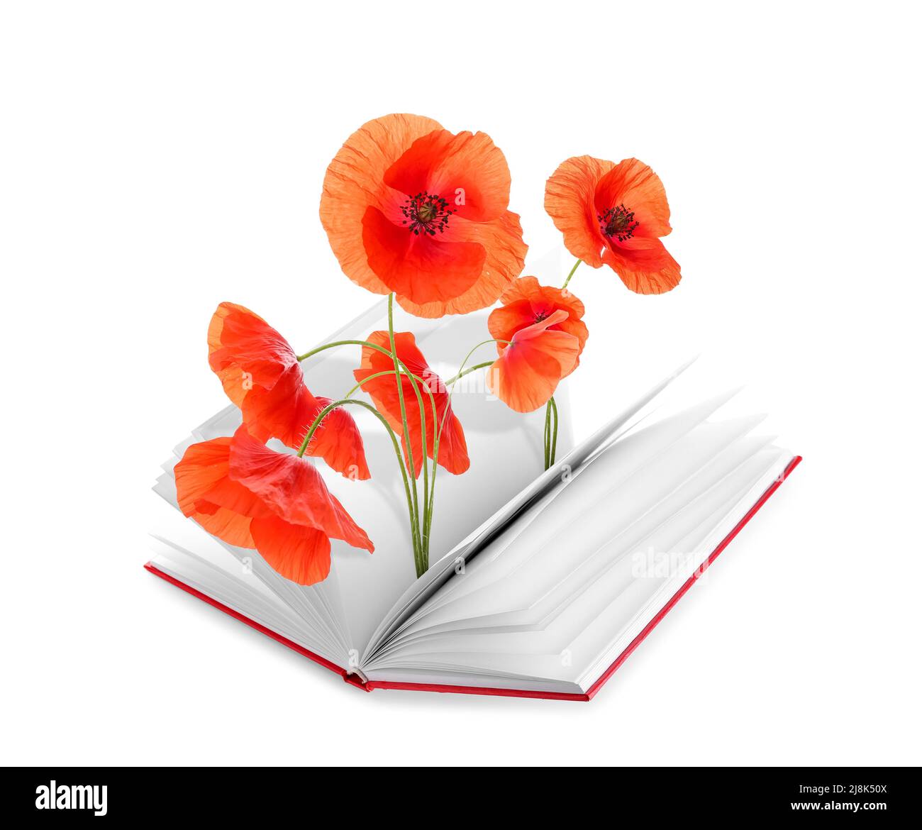 Open book with poppy flowers isolated on white Stock Photo - Alamy