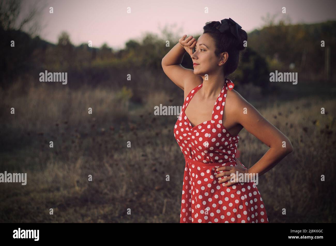 Pin-up girl in a red dress Stock Photo - Alamy