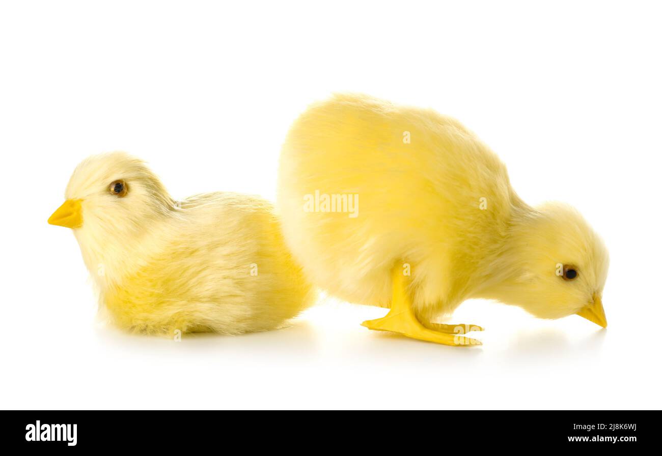 Cute yellow chickens isolated on white Stock Photo - Alamy